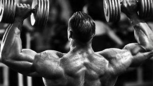 Bodybuilding Training Splits - Training - RxBodybuilders.com