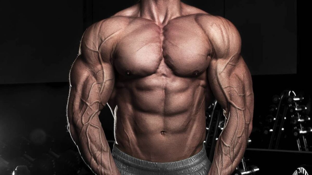 Genetics And Bodybuilding – Training Tips For Building Muscle Fast