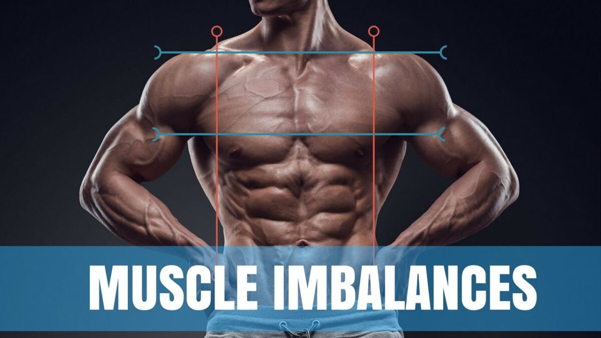 Dealing with Muscle Mass Imbalances: Strategies for Balanced