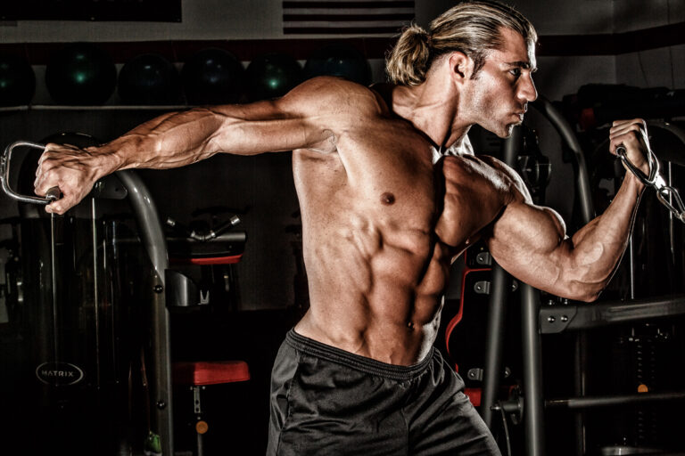 Training Tips For Increased Muscle Gains - RxBodybuilders.com