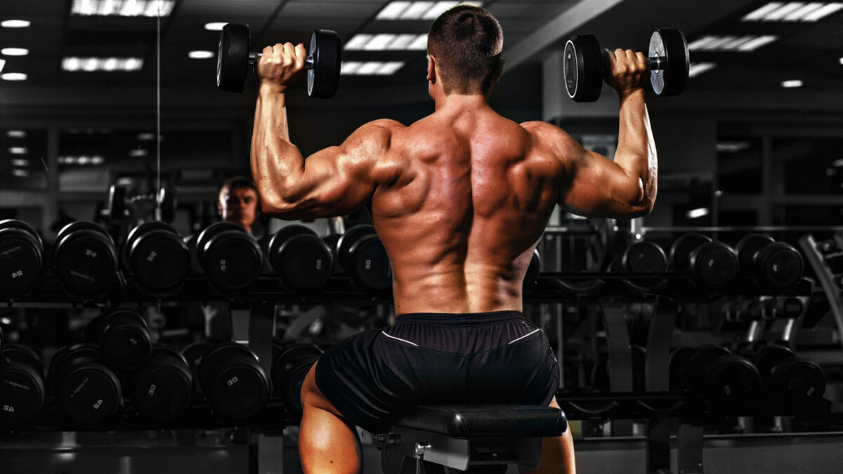 Shoulder Training Basics for Maximum Gains - RxBodybuilders.com
