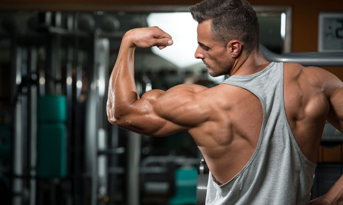 Superset Mastery: Biceps & Triceps Unleashed - RxBodybuilders.com