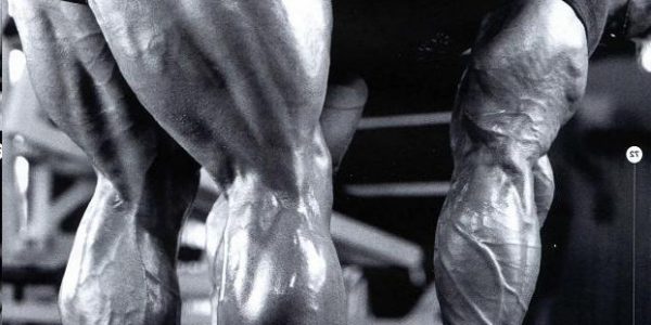 Bodybuilding Information - Bodybuilders Guide - Steroids Use