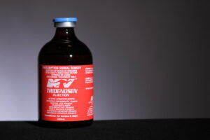 The Facts About Tridenosen H - Nutrition - RxBodybuilders.com